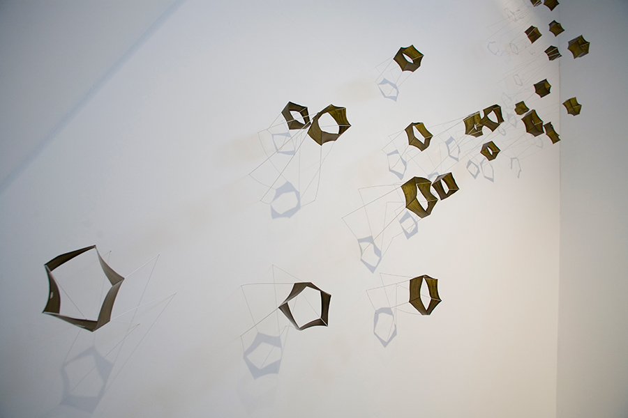 Julia Lohmann | Stanley Picker Gallery