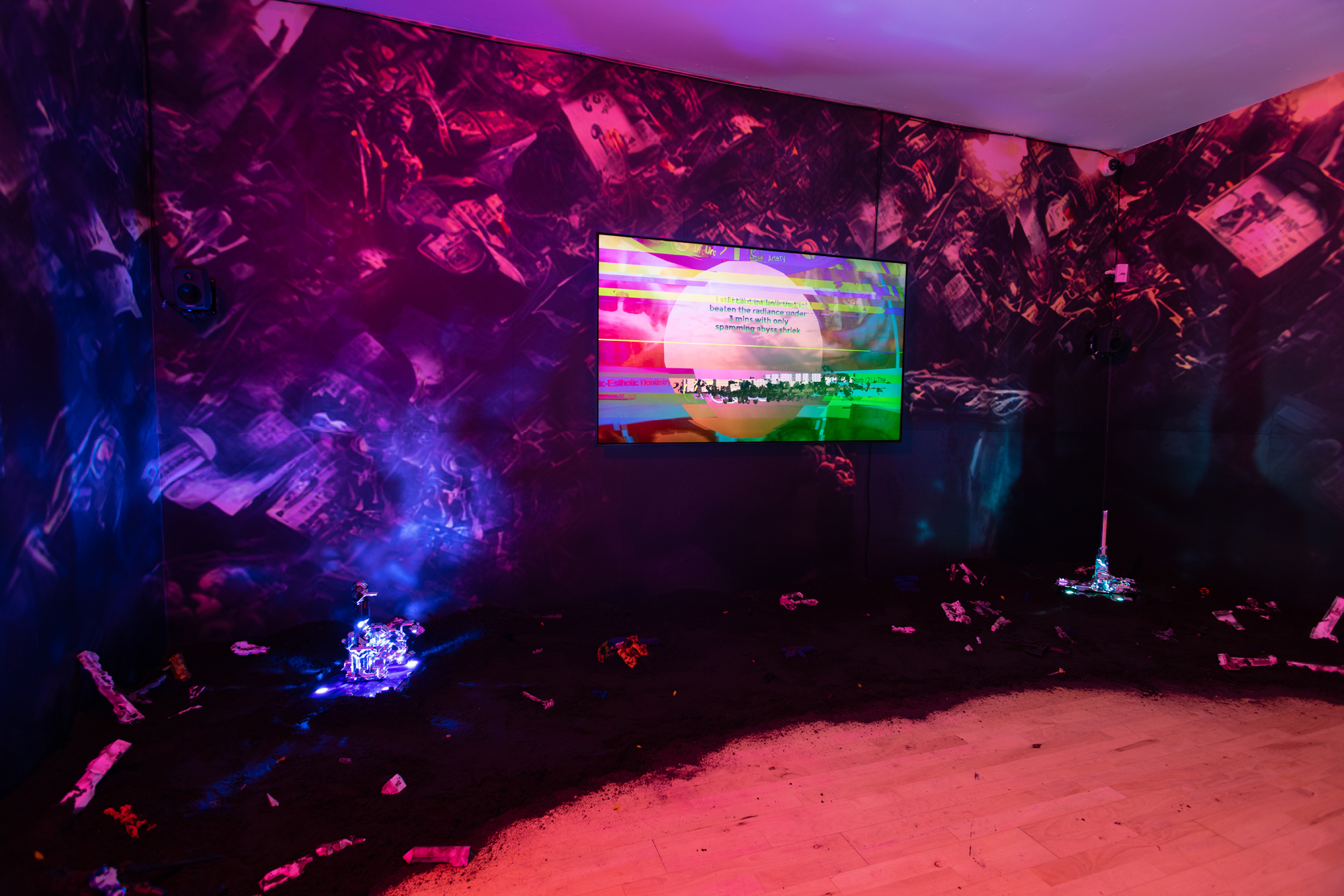 Daniel Shanken | Stanley Picker Gallery